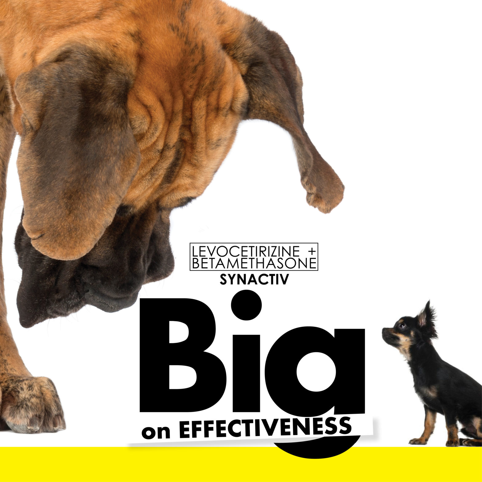 Synactiv | Ajanta Pharma Philippines